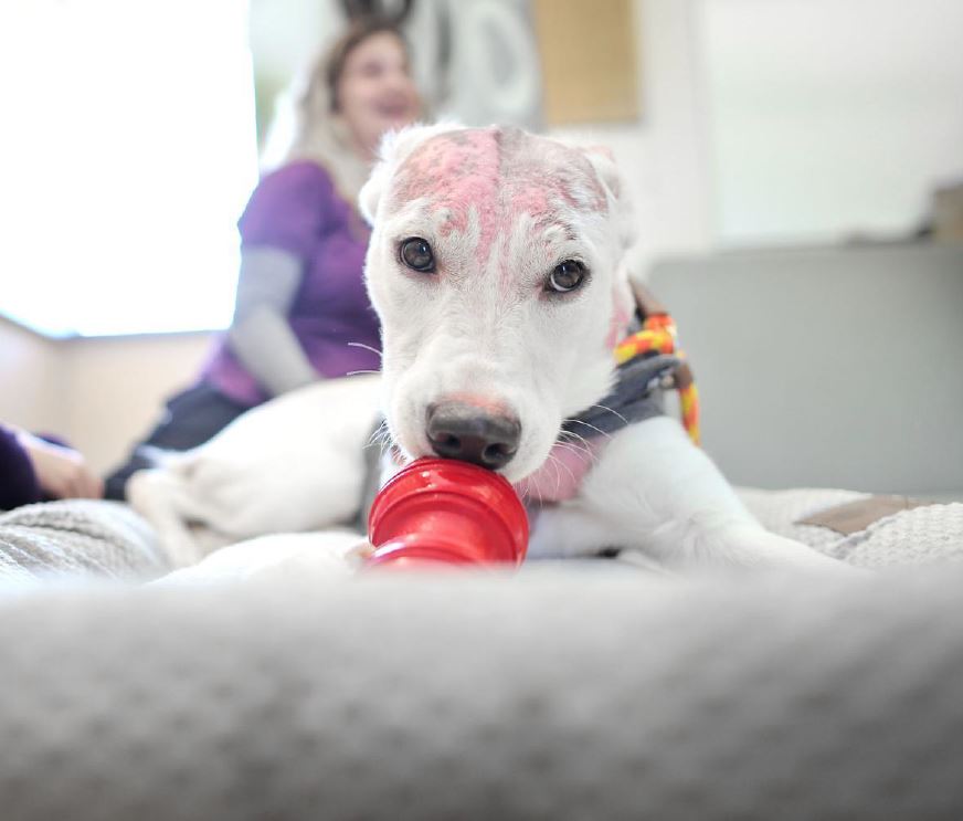 HSSW Donation ⋆ 100 Extraordinary Women